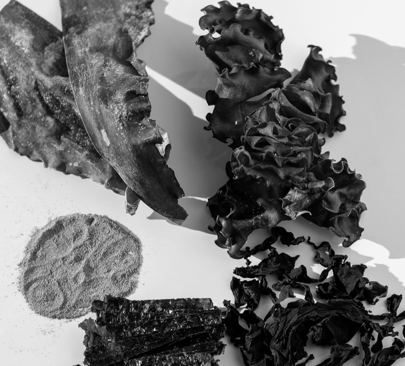 The Hero Ingredient - 5 Kaiso Complex